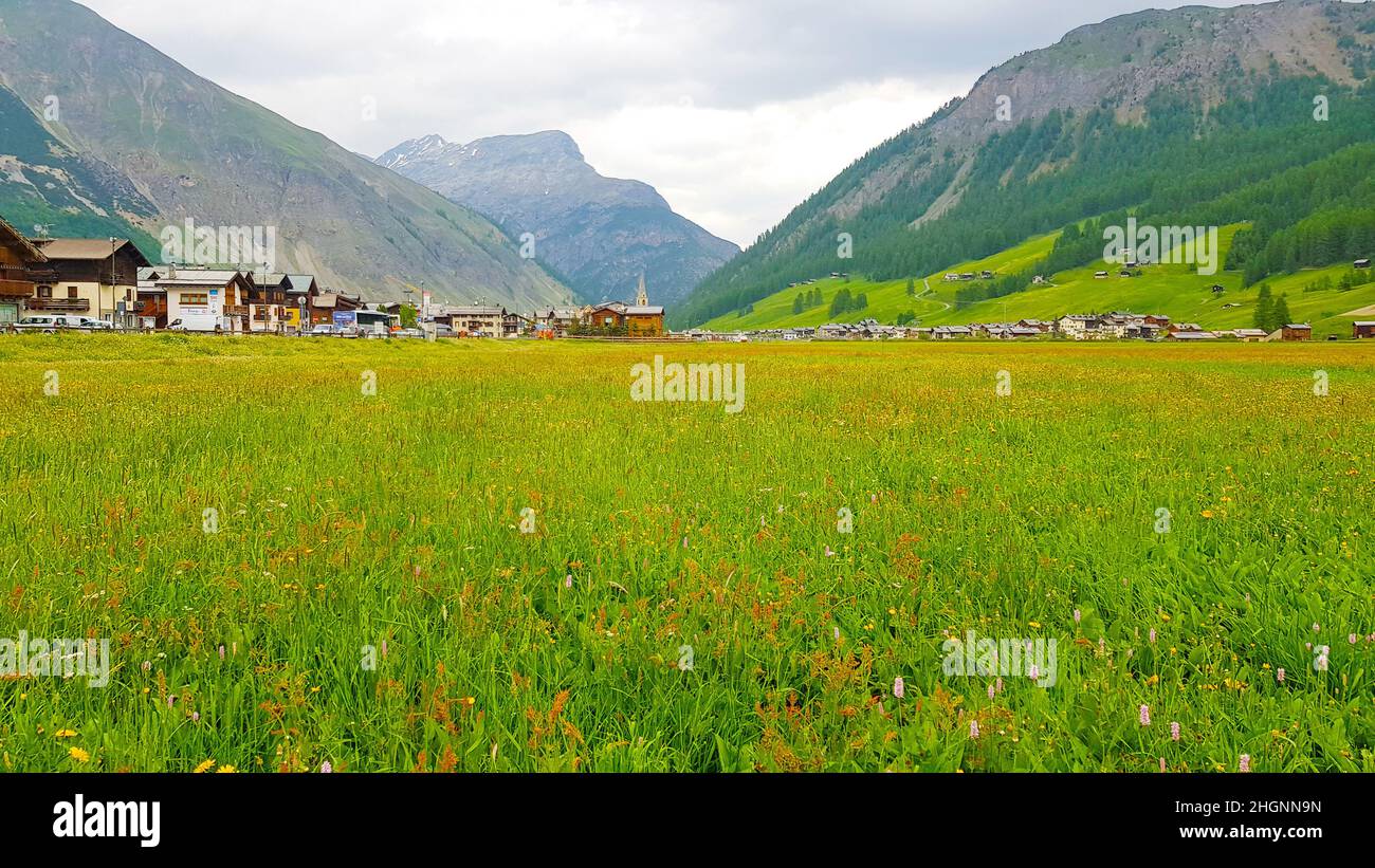 Spring landscape with green and flowers fields and traditional wooden ...