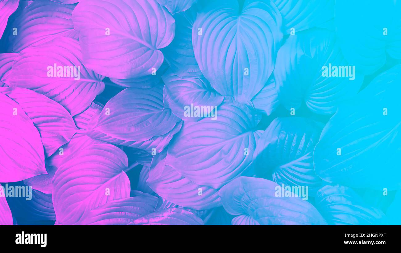 Creative banner surreal poster hi-res stock photography and images - Alamy