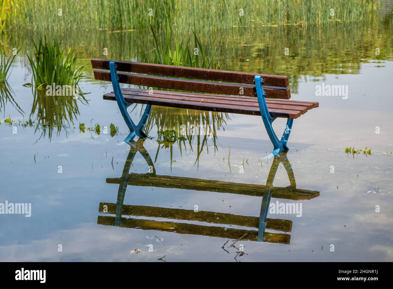 Flooded park bench flood hi-res stock photography and images - Alamy