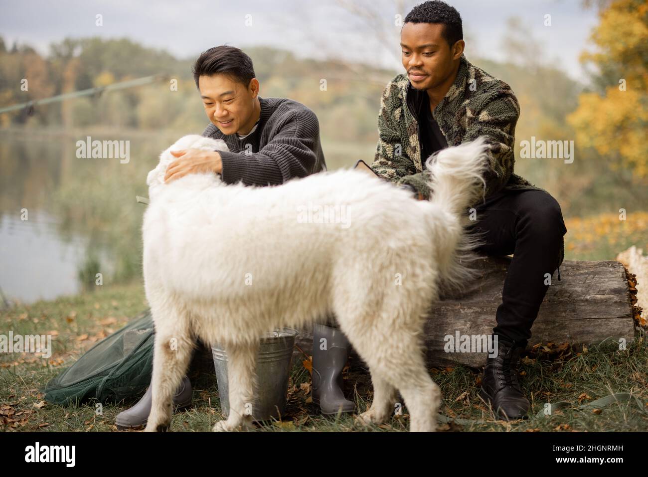 Male friends caressing dog hi-res stock photography and images - Alamy