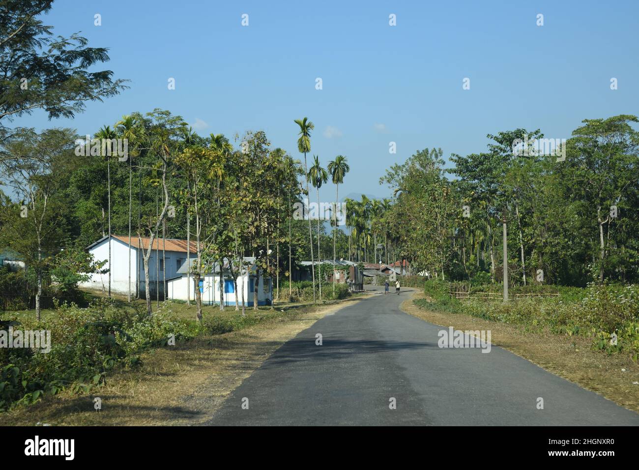 Malbazar hi-res stock photography and images - Alamy