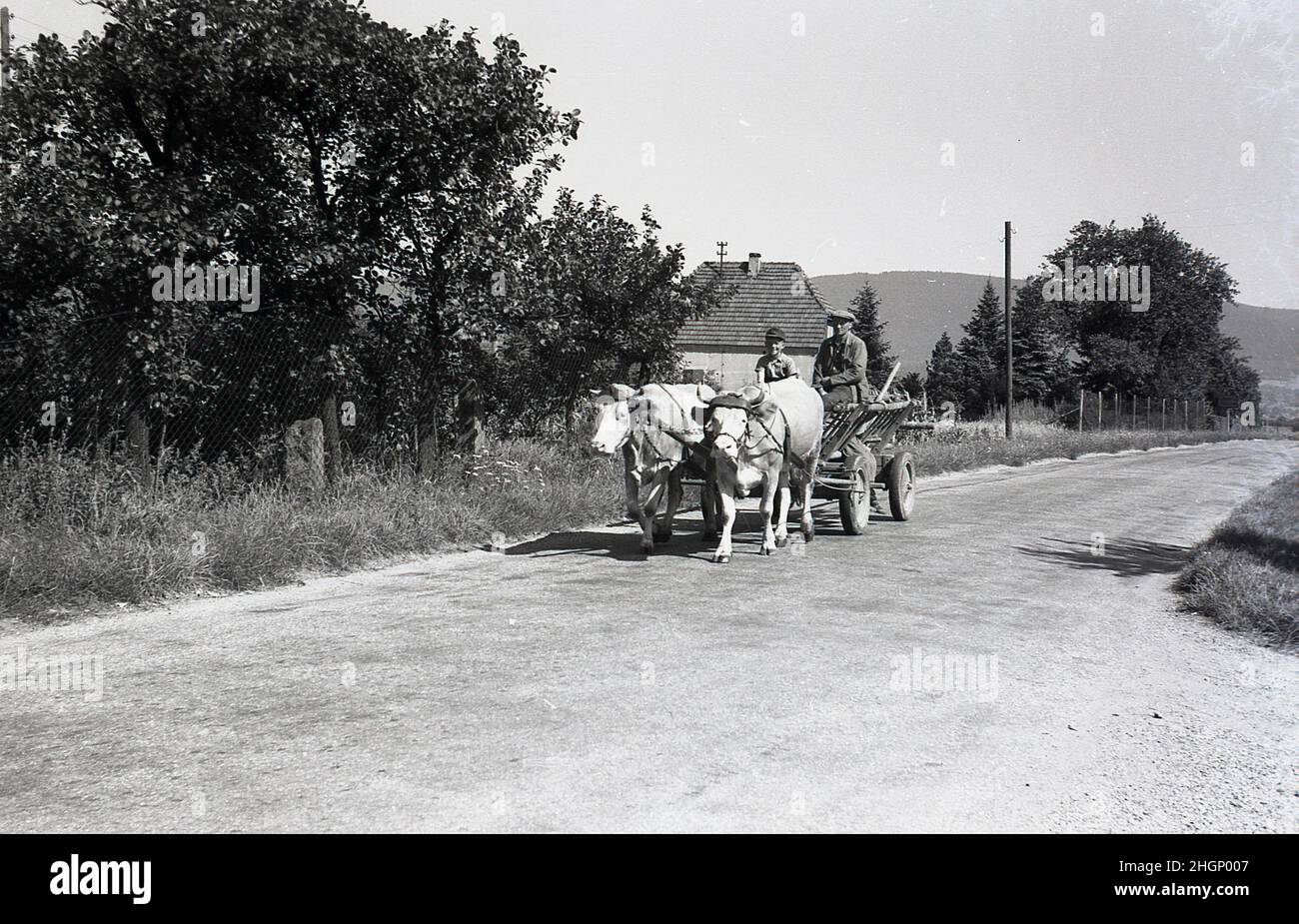 1950s, historical, with farmer and son on a cart pulled by a pair of ...
