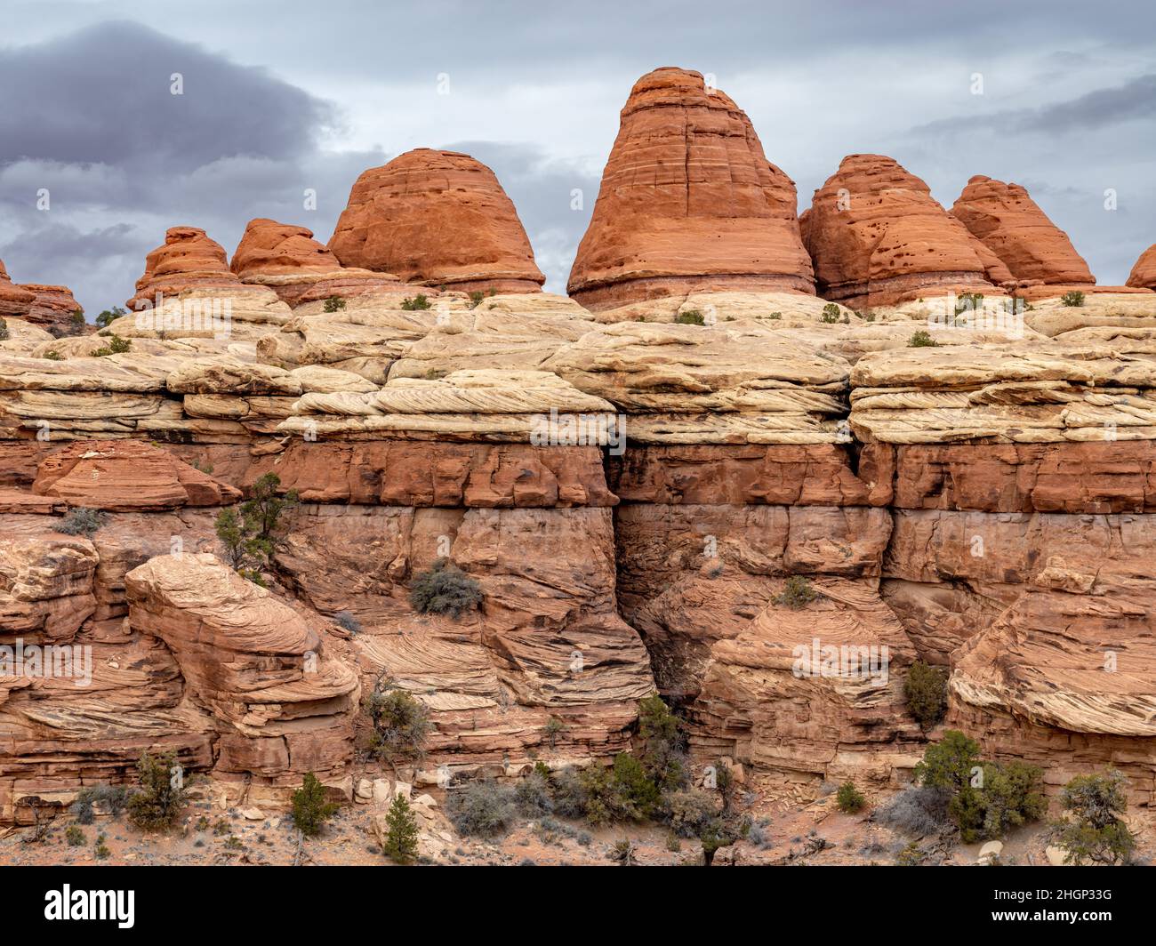 Colors and textures very by level on these Canyonlands rock formations ...