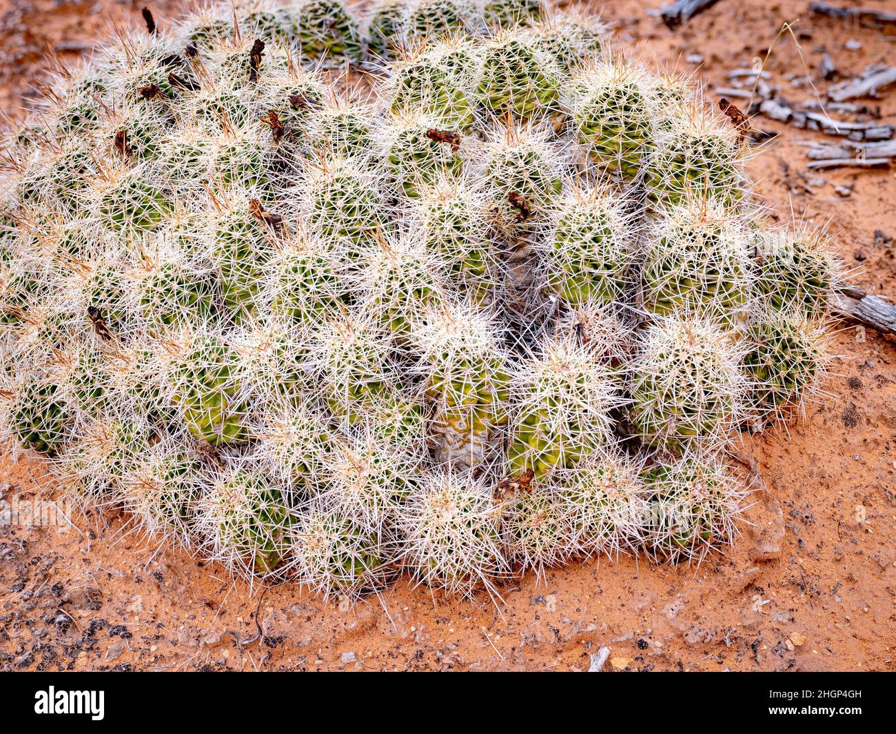 Red soil lands hi-res stock photography and images - Alamy