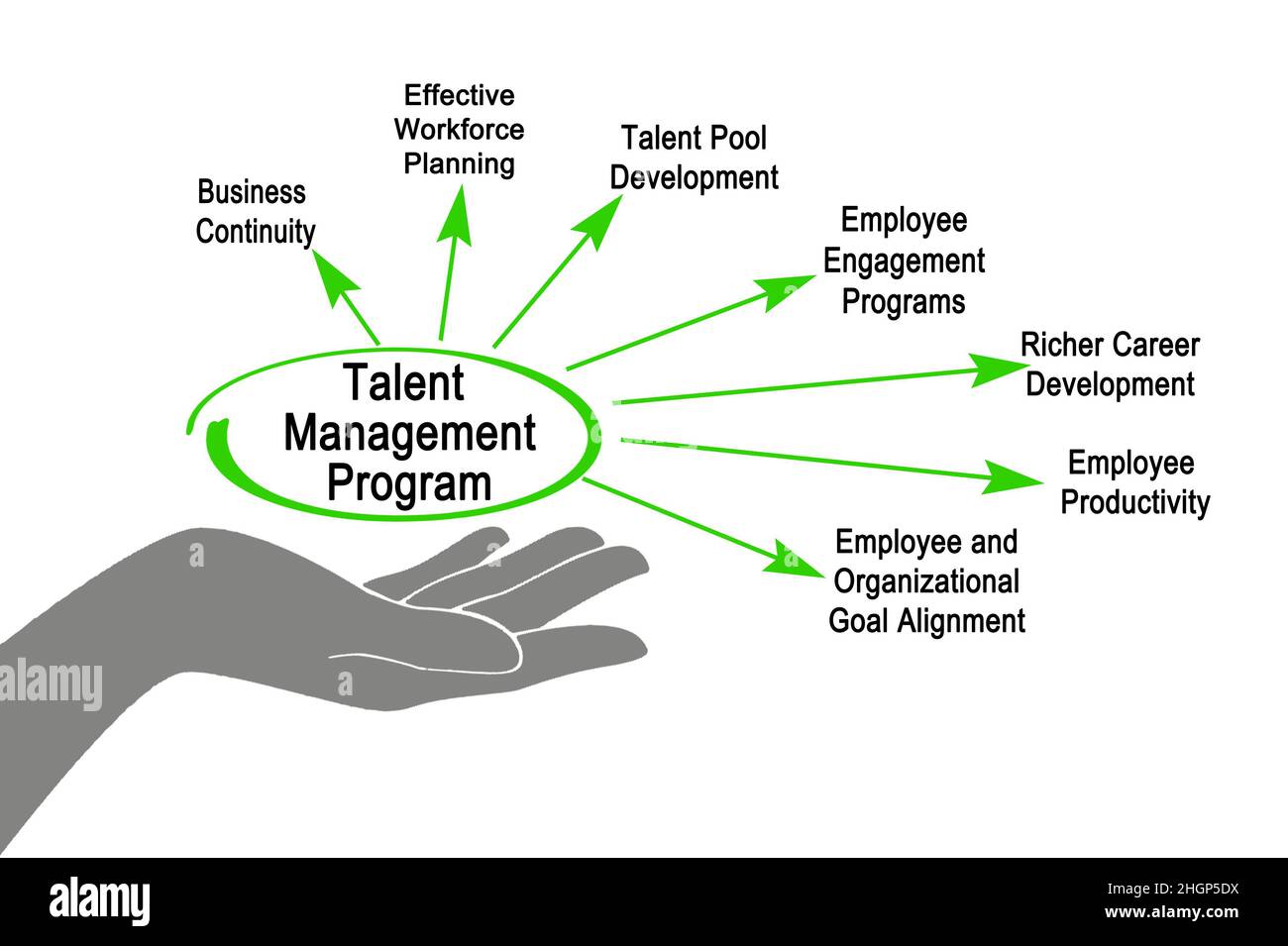 Components of Talent Management Program Stock Photo - Alamy