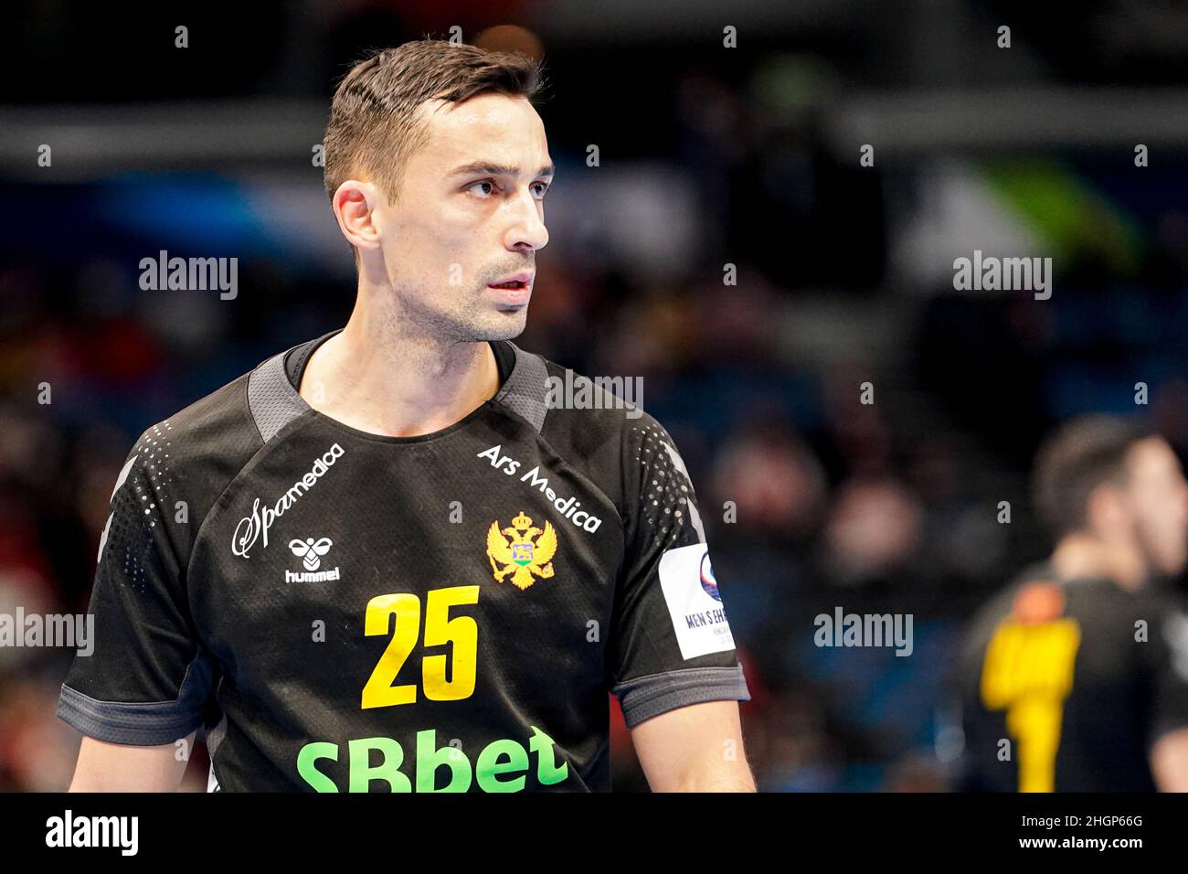 Marko lasica hi-res stock photography and images - Alamy