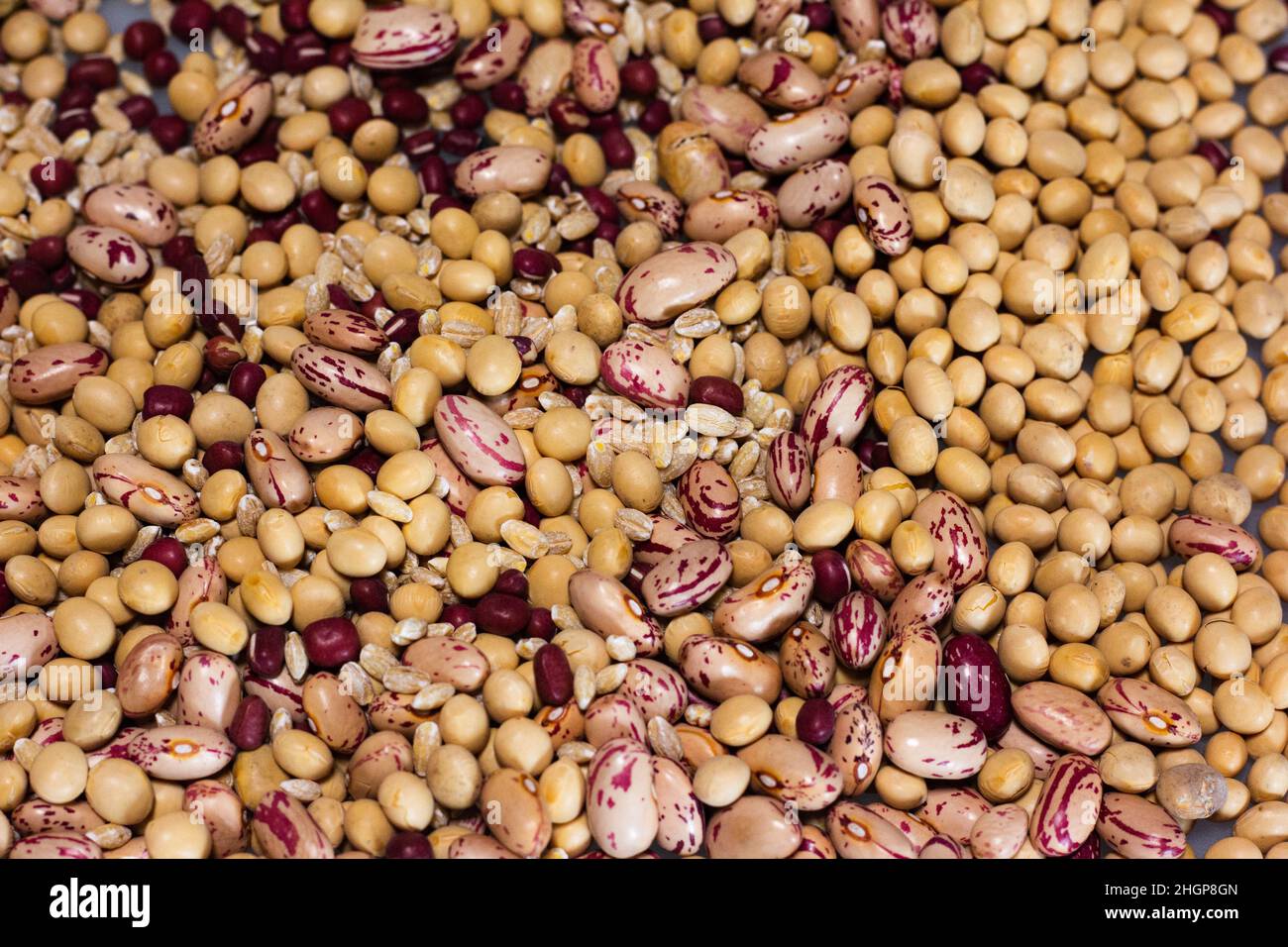 vegan food: pinto beans, pearl barley, soy, azuki beans Stock Photo - Alamy