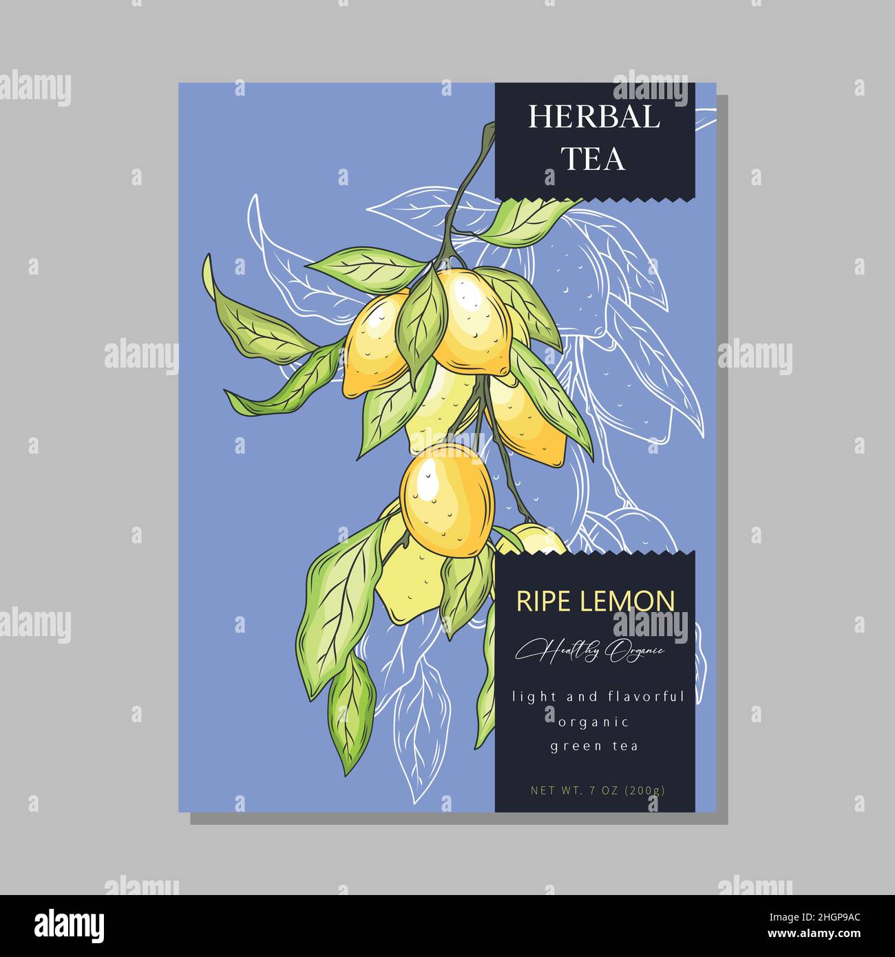 Tea Labels Set. Abstract Vector Packaging Design Stock Vector Image ...