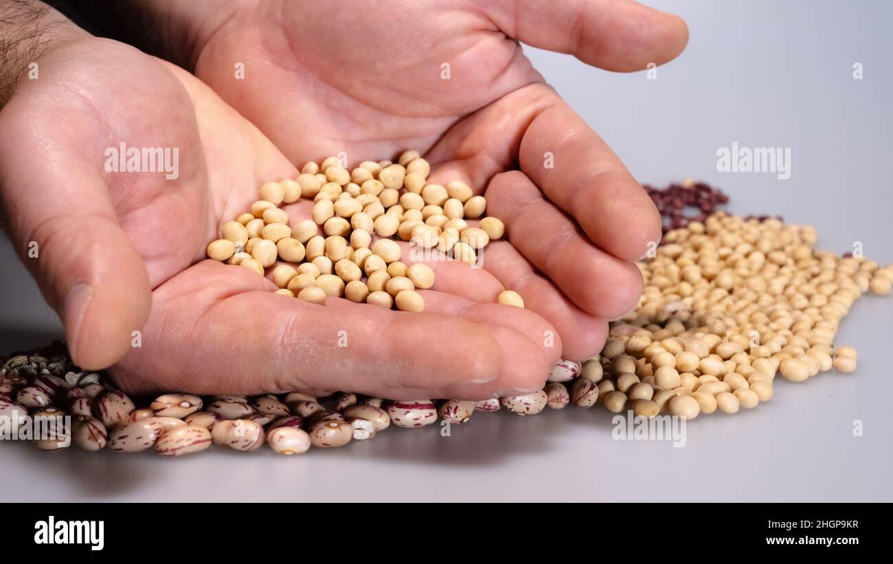 vegan food: mani with soy and borlotti beans and azuki on the neutral ...