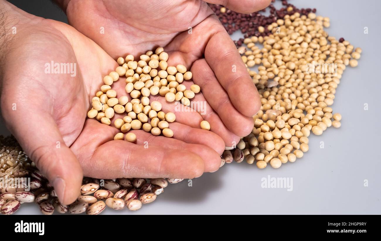 vegan food: mani with soy and borlotti beans and azuki on the neutral ...