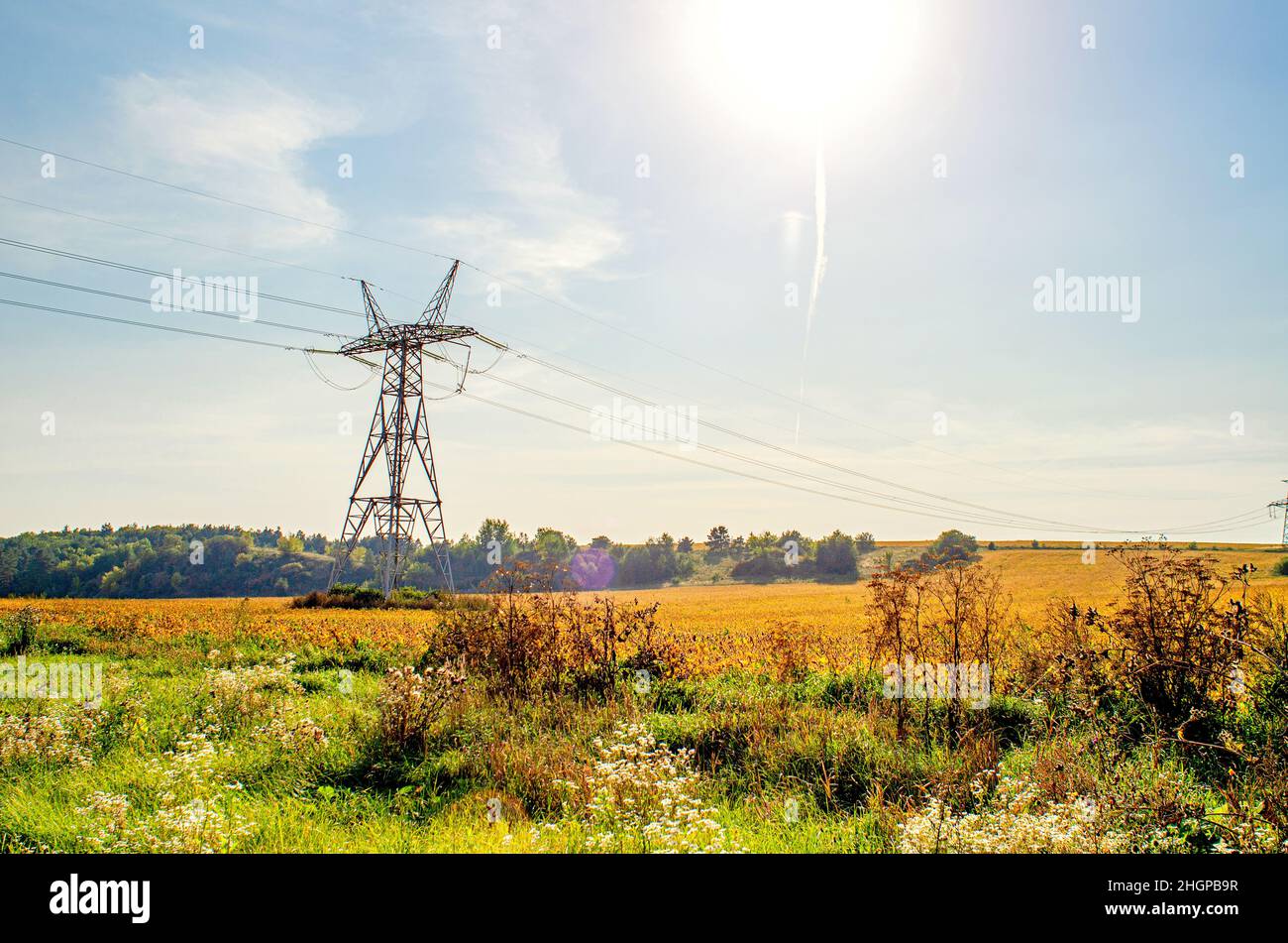 High voltage power lines on background of blue sky and green vegetation ...