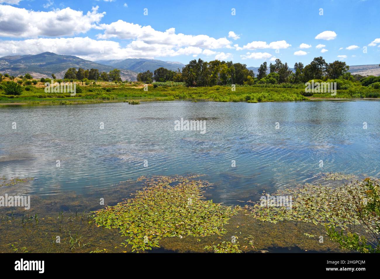 Snir nature reserve, Galilee, Israel Stock Photo - Alamy