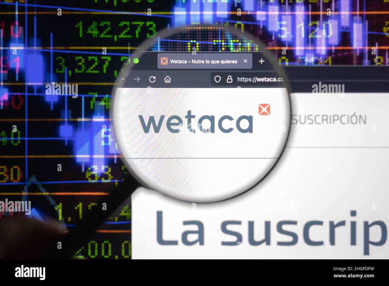 Wetaca company logo on a website with blurry stock market developments in the background, seen ...
