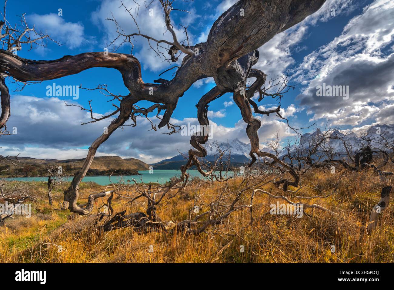 Landscape with Lago del Pehoe in Torres del Paine national park ...