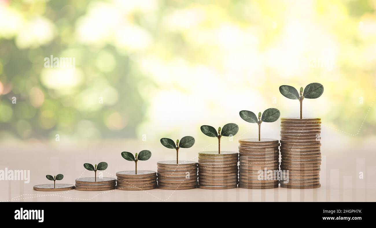 Coins stack and leaf with line graph business connect on nature ...