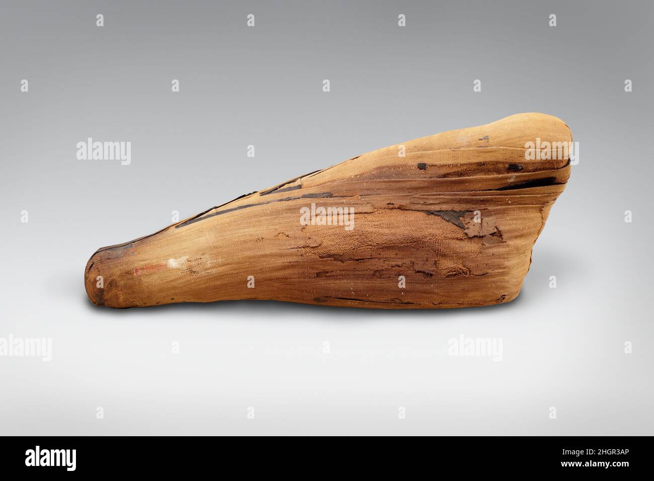 Mummified bull hi-res stock photography and images - Alamy