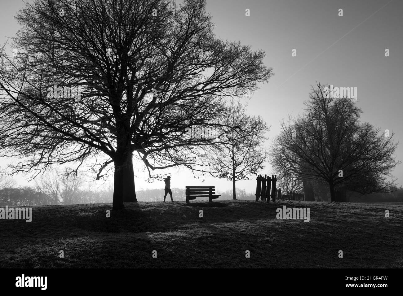 Park in morning mist Black and White Stock Photos & Images - Alamy