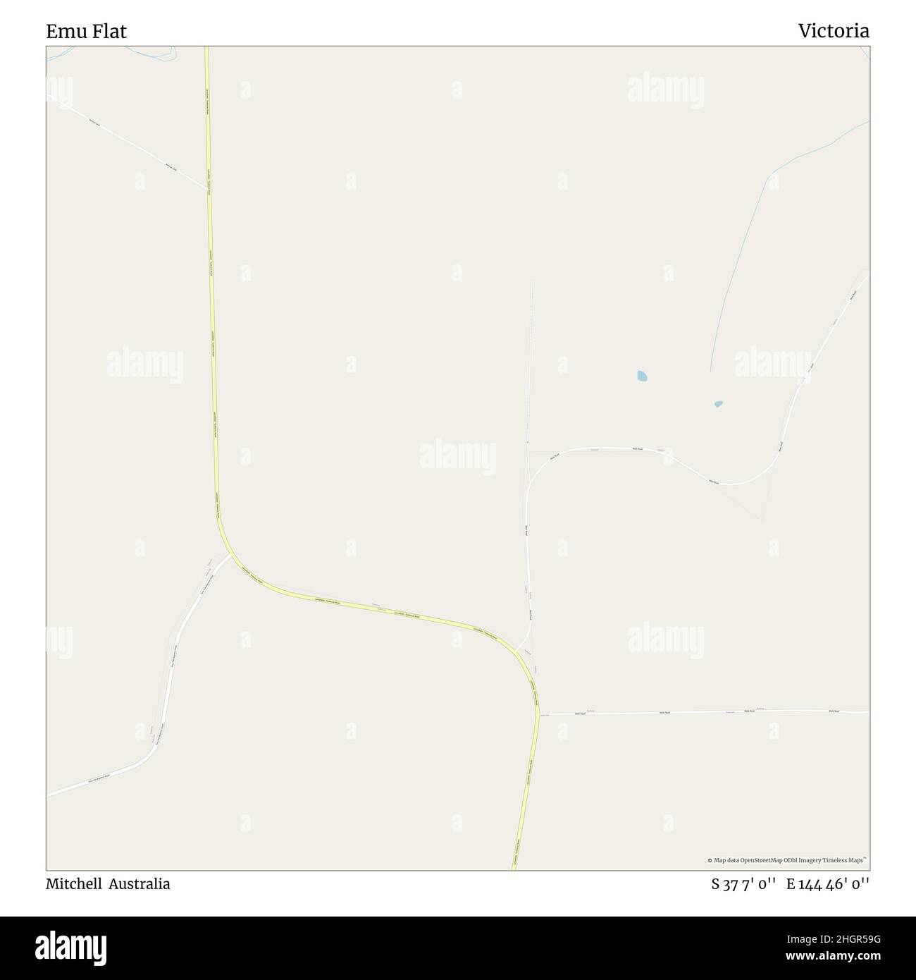 Beautiful emu hi-res stock photography and images - Alamy