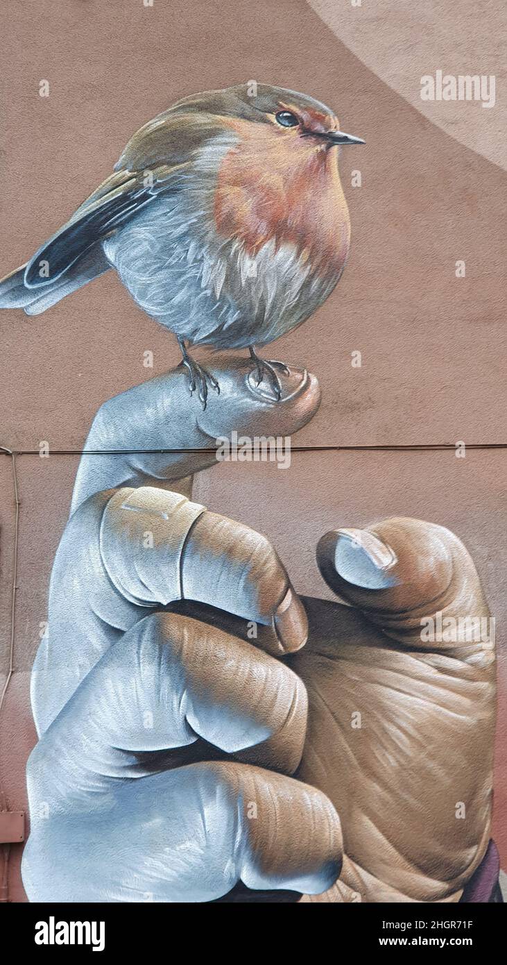 Robin in St Mungo mural, Glasgow Stock Photo - Alamy