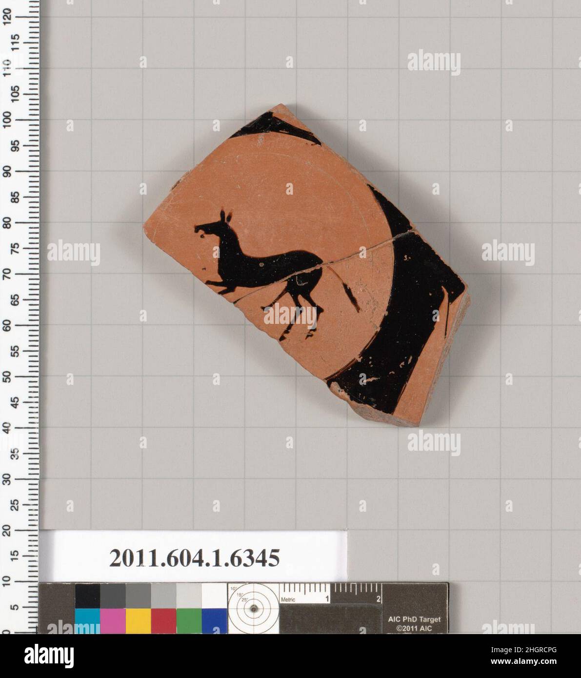 Terracotta fragment of a kylix (drinking cup) 500–480 B.C. Attributed ...