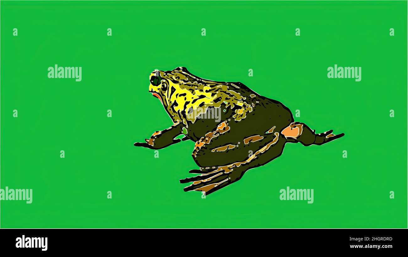 3d illustration - frog isolated on green screen Stock Photo - Alamy