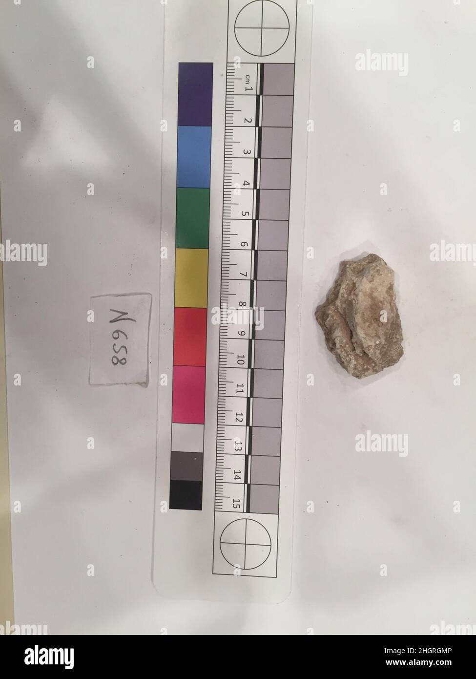 Stucco Fragment probably 8th–12th century. Stucco Fragment 742025 Stock ...