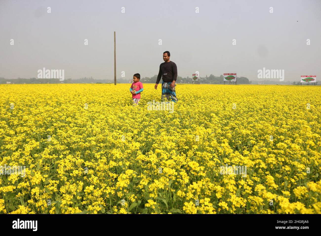 JANUARY 22,2022,DHAKA,BANGLADESH- Children are playing in the mustard ...