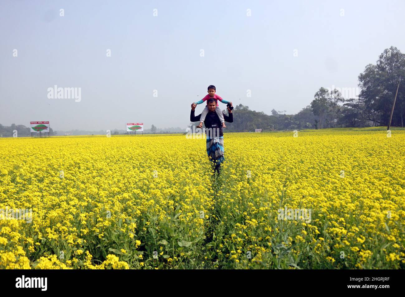 JANUARY 22,2022,DHAKA,BANGLADESH- Children are playing in the mustard ...
