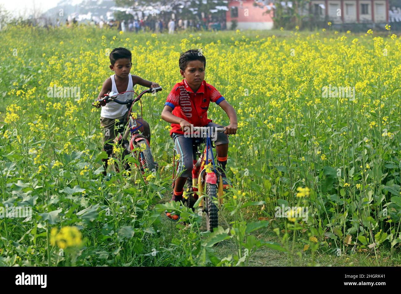 JANUARY 22,2022,DHAKA,BANGLADESH- Children are playing in the mustard ...