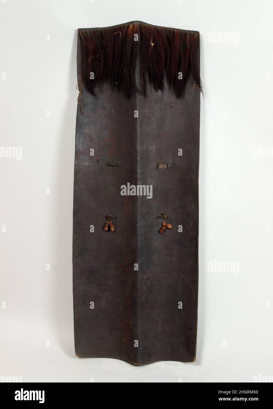 Shield (Dhàl) 19th century Indian, Assam, Naga Hills. Shield (Dhàl ...