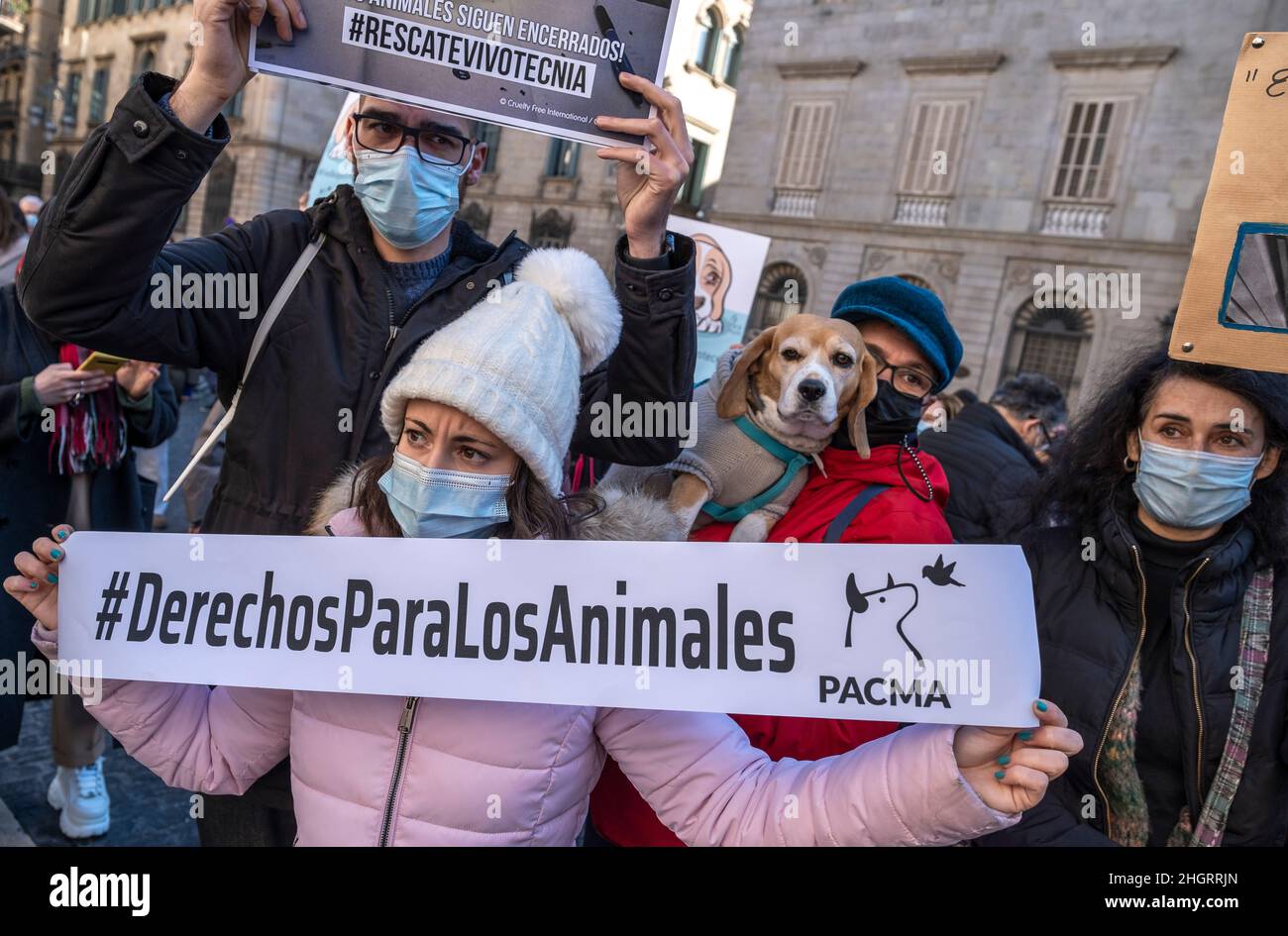 Lush Fighting Animal Testing Live Demonstration Clipart