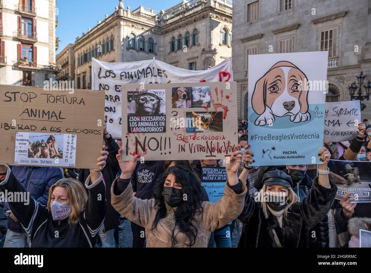 Lush Fighting Animal Testing Live Demonstration Clipart