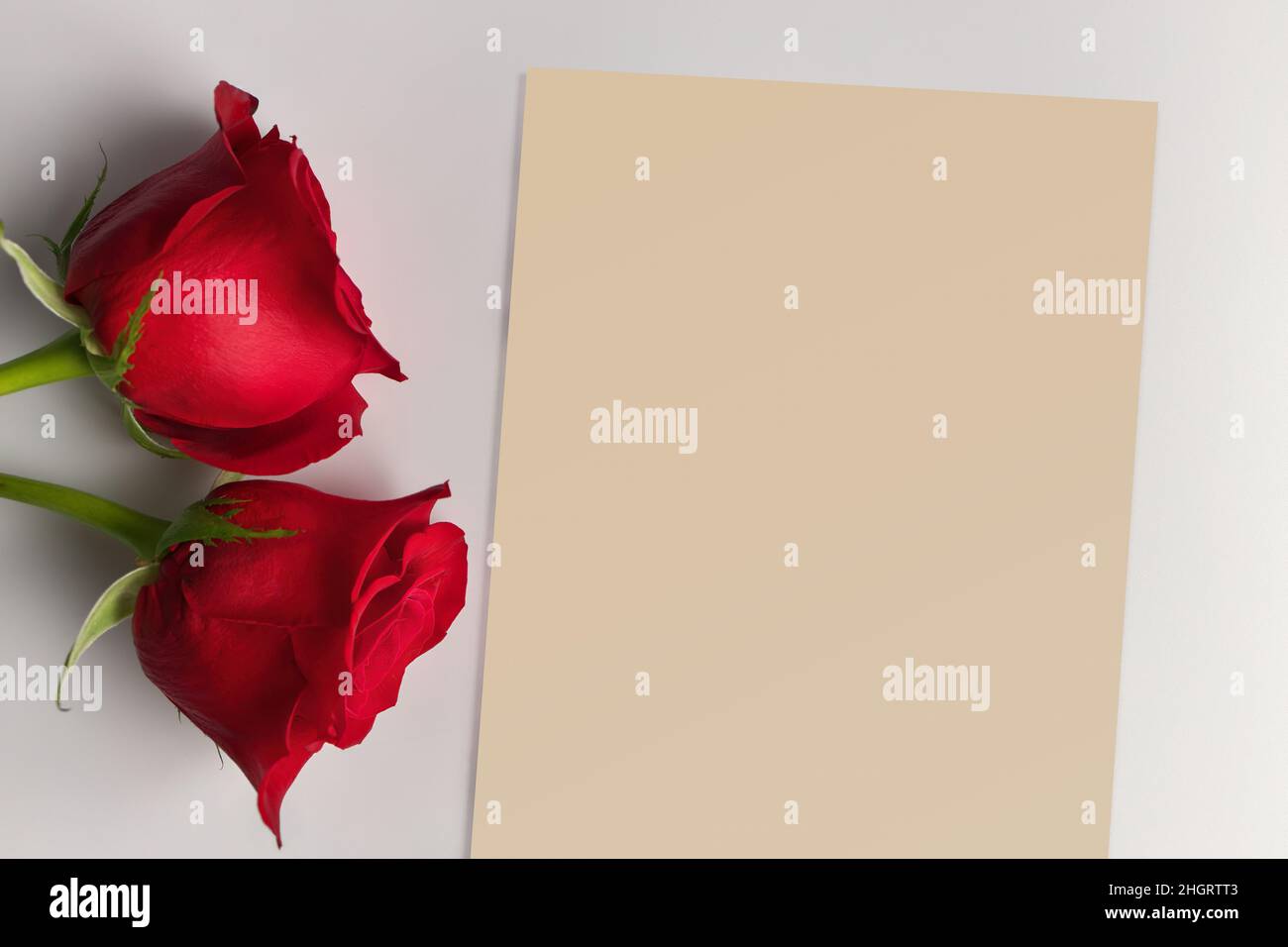 A Blank piece of note paper beside 2 red roses on a white countertop ...