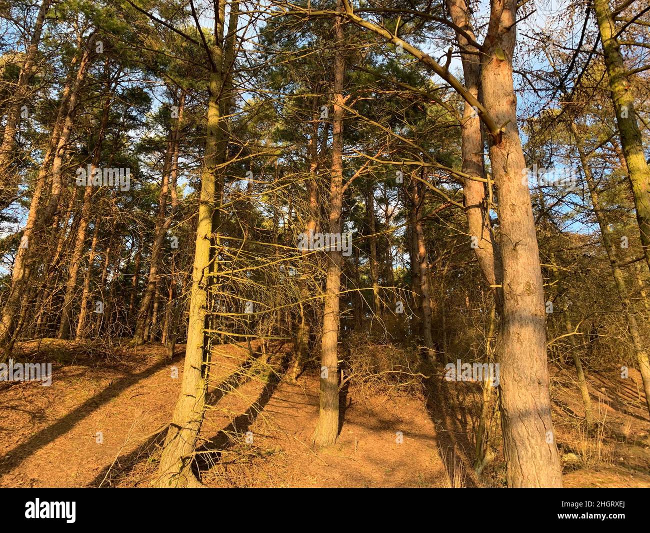 Irchester Country Park Northamptonshire UK Stock Photo - Alamy