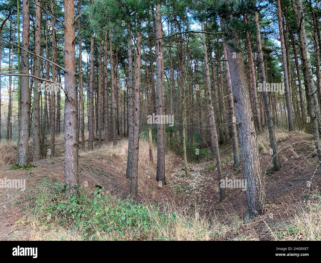 Irchester Country Park Northamptonshire UK Stock Photo - Alamy