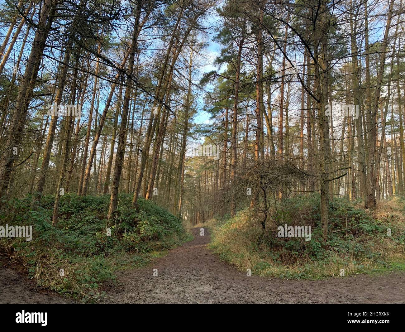 Irchester country park hi-res stock photography and images - Alamy