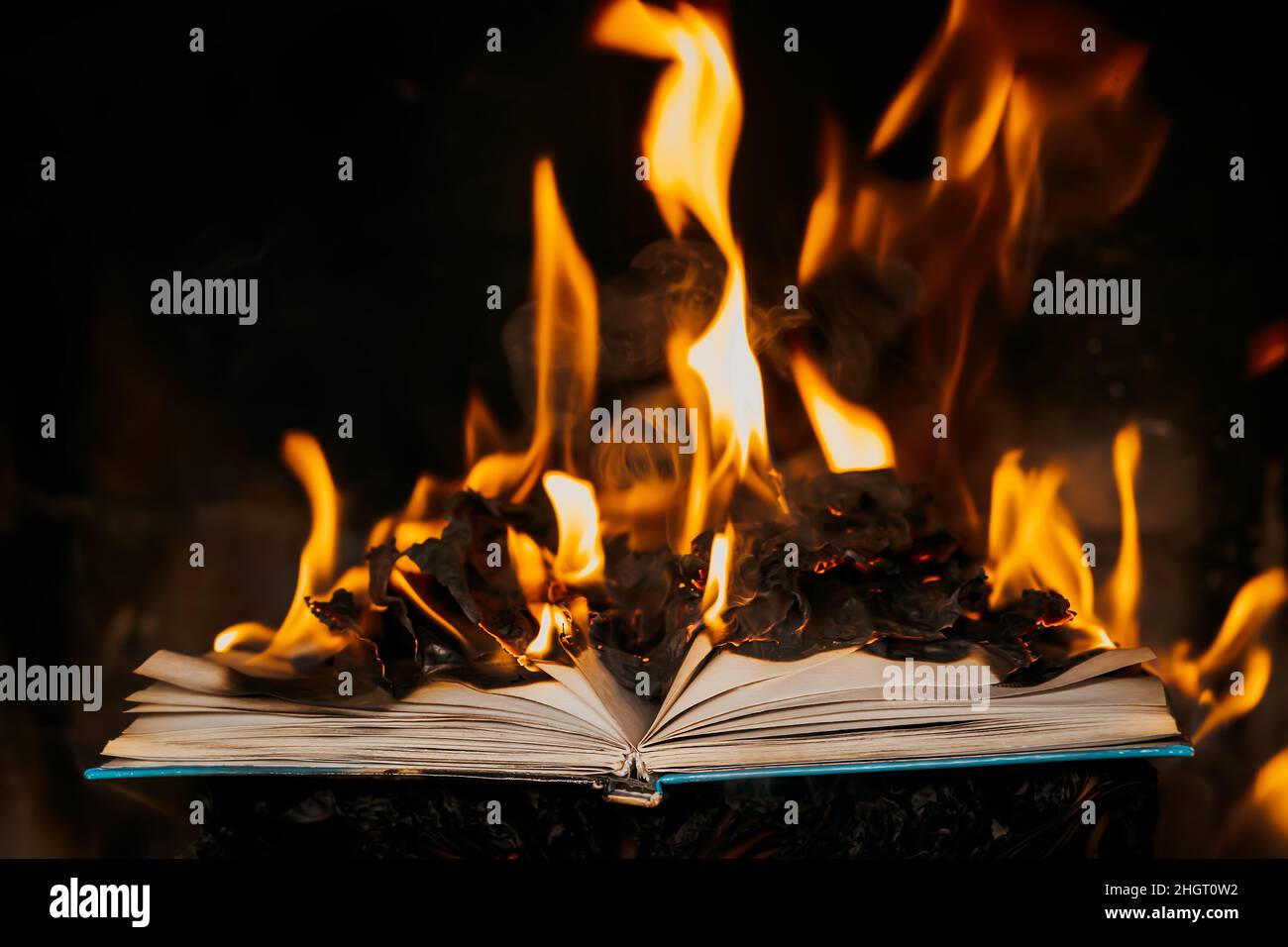 Catching Fire Book Pages