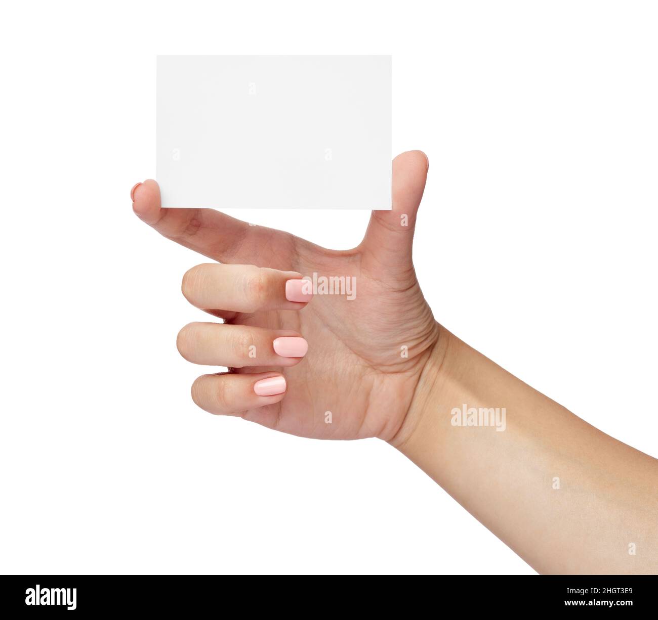 close up of a female hand holding blank note card sign on white ...