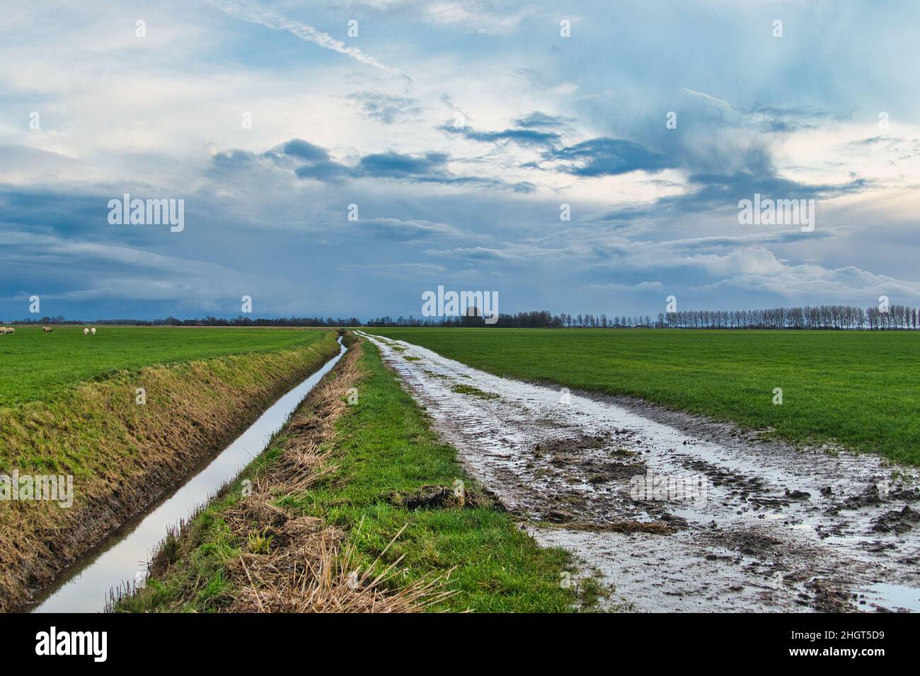 Muddy ditch hi-res stock photography and images - Alamy