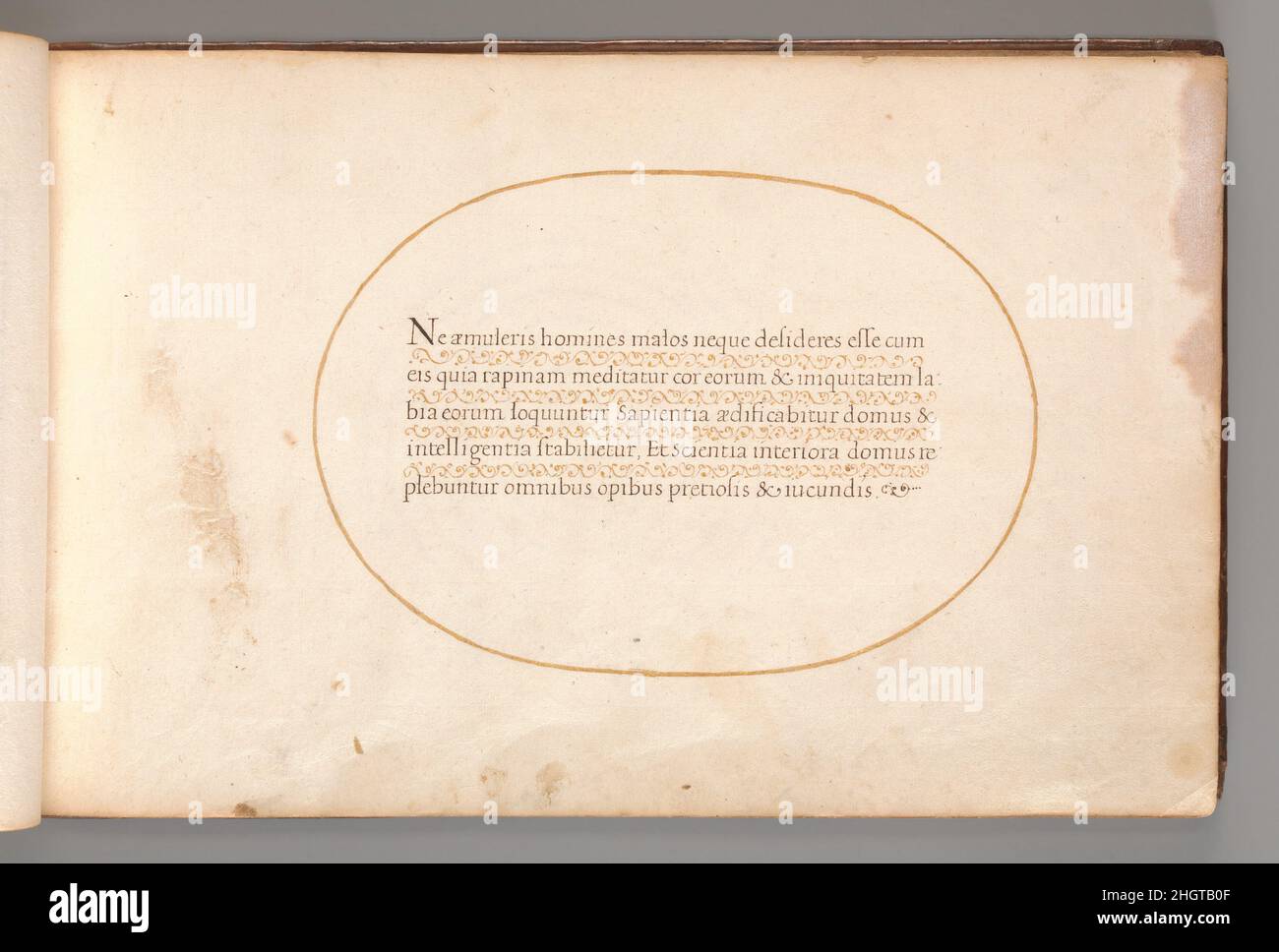 Five lines latin text hi-res stock photography and images - Alamy