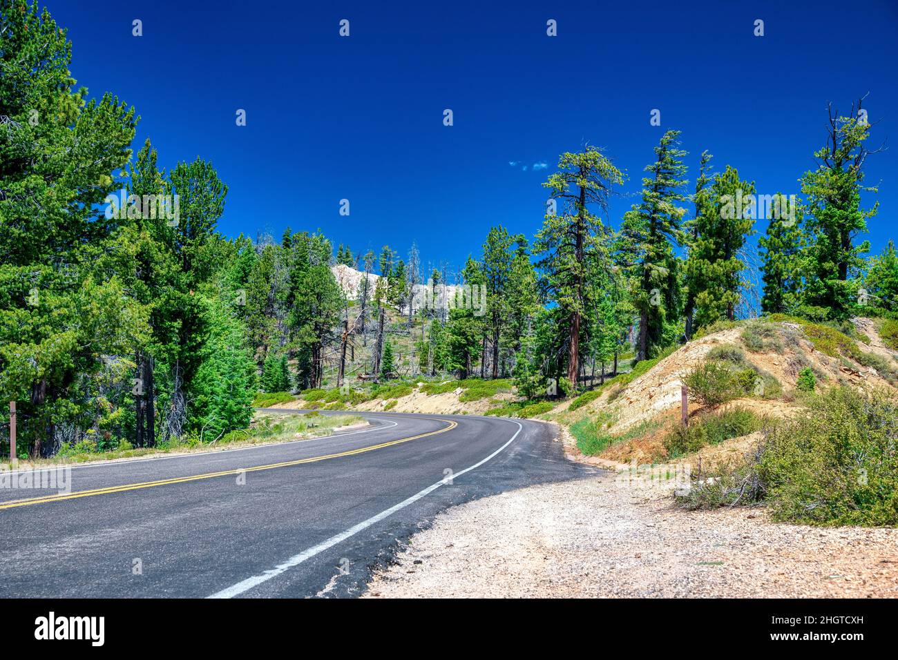 Bryce national park road hi-res stock photography and images - Alamy