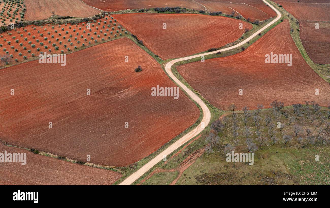 Country land with plantations and dirt road, aerial photo Stock Photo ...