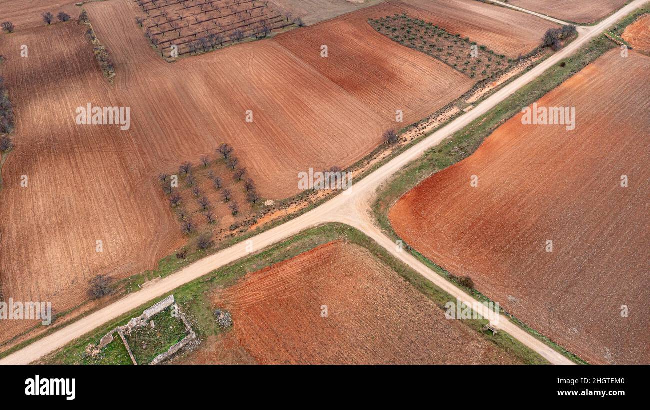Country land with plantations and dirt road, aerial photo Stock Photo ...