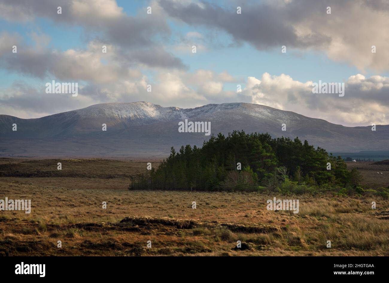 Bogland at the edge of Wild Nephin National Park in Ireland. It is ...