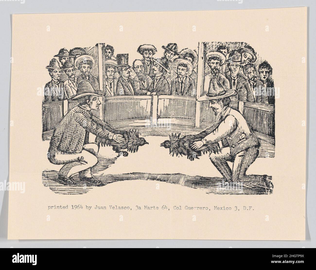 Two men in an arena holding cocks in preparation for a fight ...