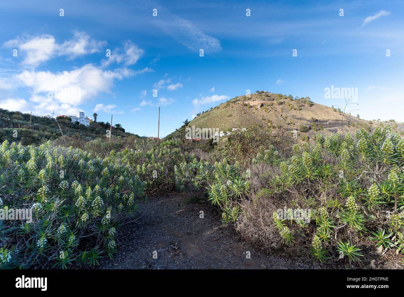 The bandama crater in gran canaria hi-res stock photography and images ...