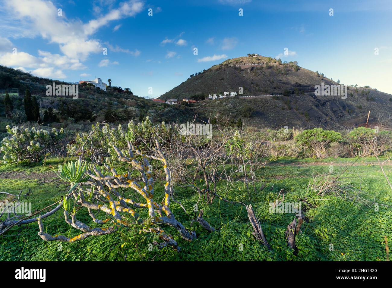 The bandama crater in gran canaria hi-res stock photography and images ...