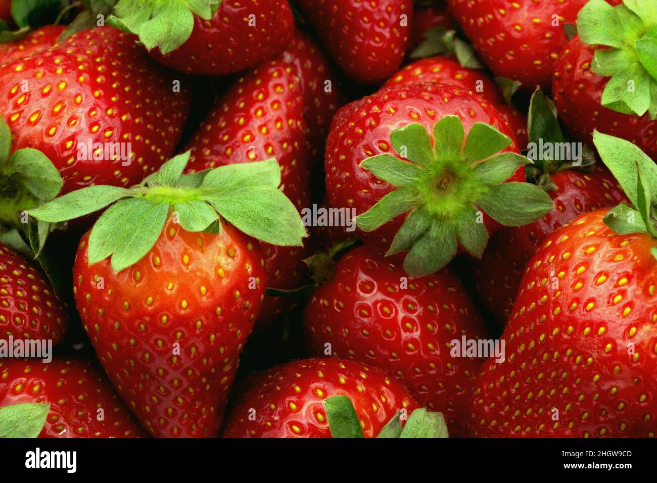 Closeup bunch ripe strawberries hi-res stock photography and images - Alamy