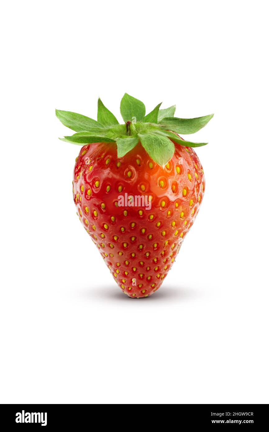 One Strawberry isolated on a white background Stock Photo - Alamy