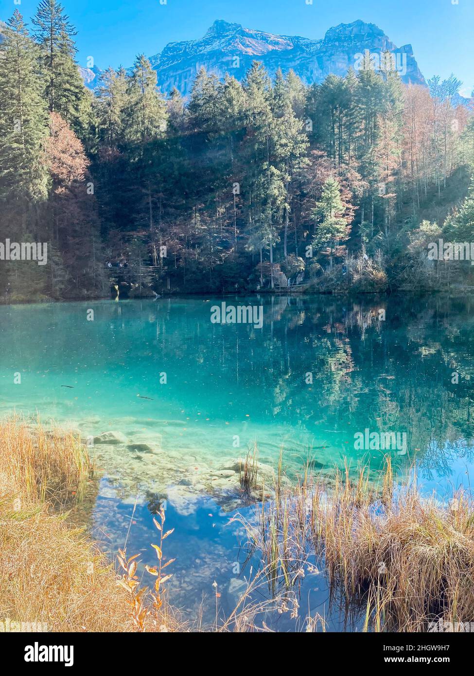Landscape around the scenic Blausee Lake in Switzerland Stock Photo - Alamy